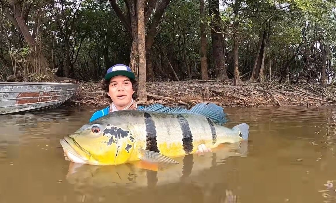 Pesca esportiva no rio Amazonas: Uma aventura na selva - Amazonas Fishing